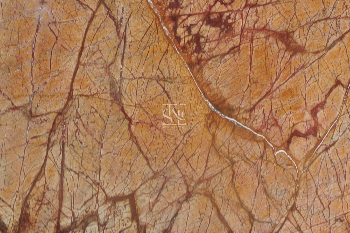 Brown Marble - Natural Stone Tiles & Slabs - Stone Art By SKL