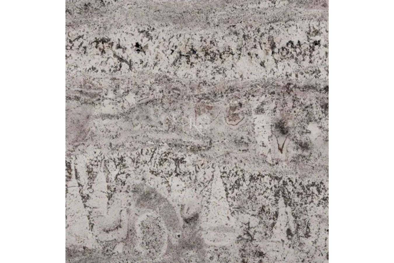 Best Alaska White Granite - Natural Stone Tiles & Slabs